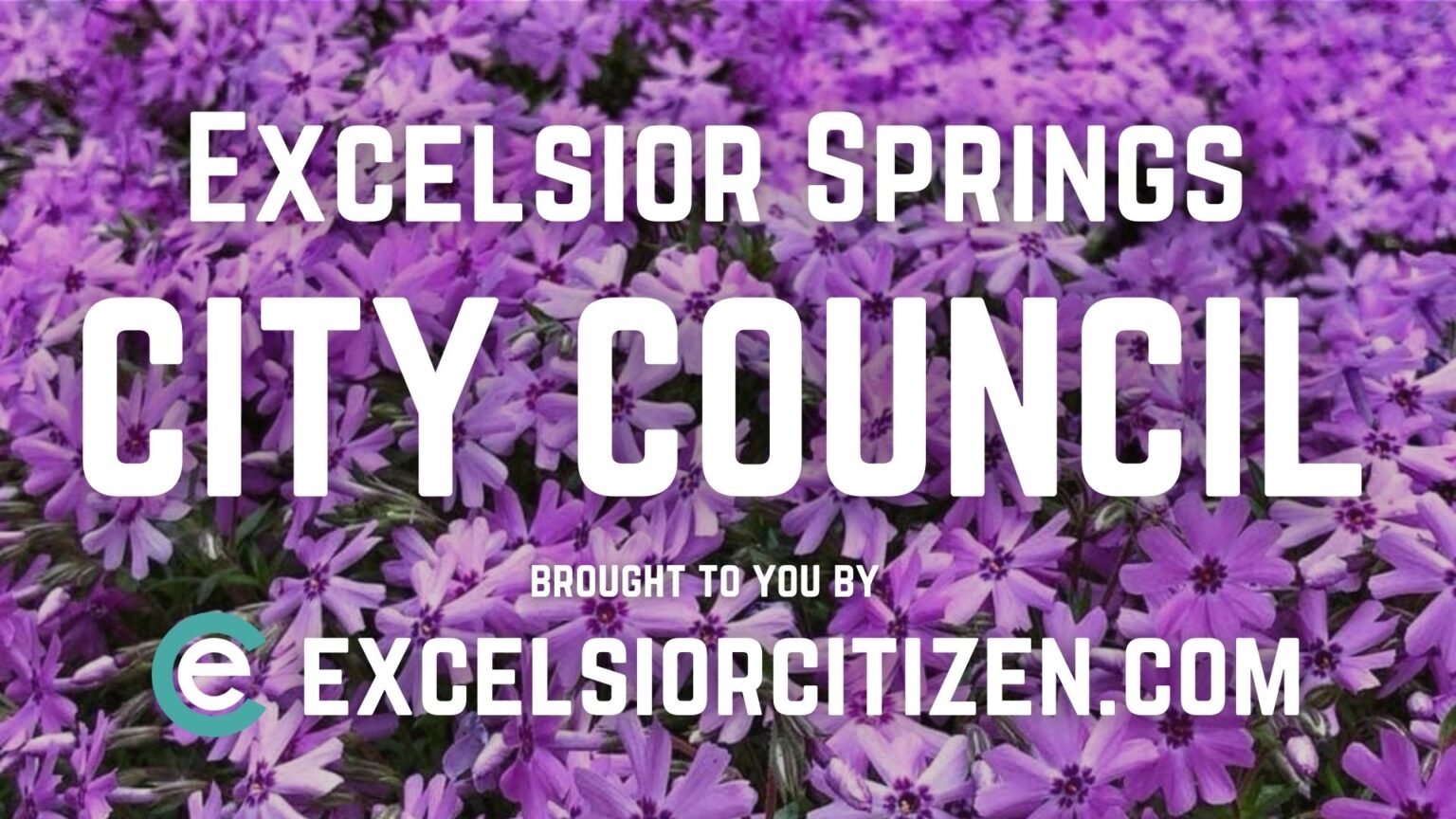 City Government - Excelsior Citizen