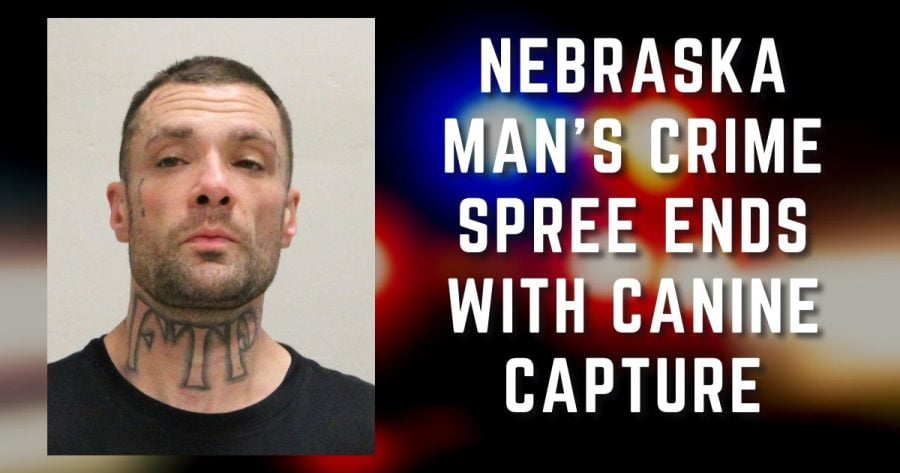 Nebraska Man's Crime Spree Ends with Canine Capture - Excelsior Citizen