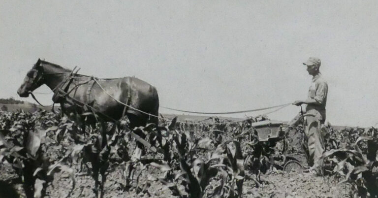 Legacy of the Pharis Family Lives On Through the Land