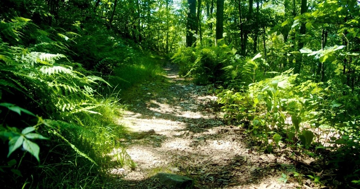 Excelsior Springs Gets the Green Light for Singletrack Adventure